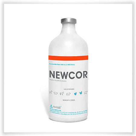 Newcor - BM Editores