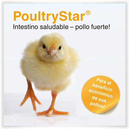 PoultryStar® - BM Editores