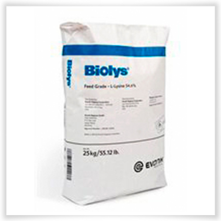 Biolys - BM Editores