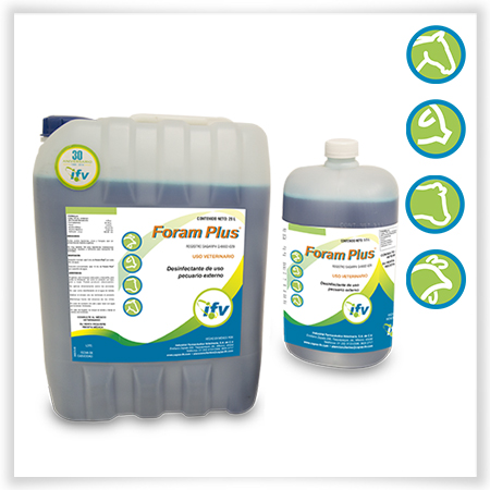 Foram Plus - BM Editores