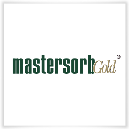 Mastersorb - BM Editores