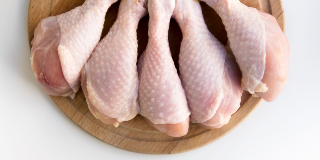 Pollo orgánico: Experiencias en la producción y el proceso hacia la ...