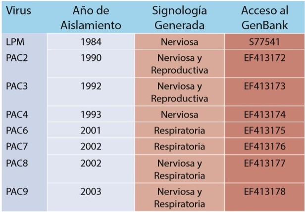 Biología molecular del rubulavirus porcino: Enfermedad del ojo azul ...