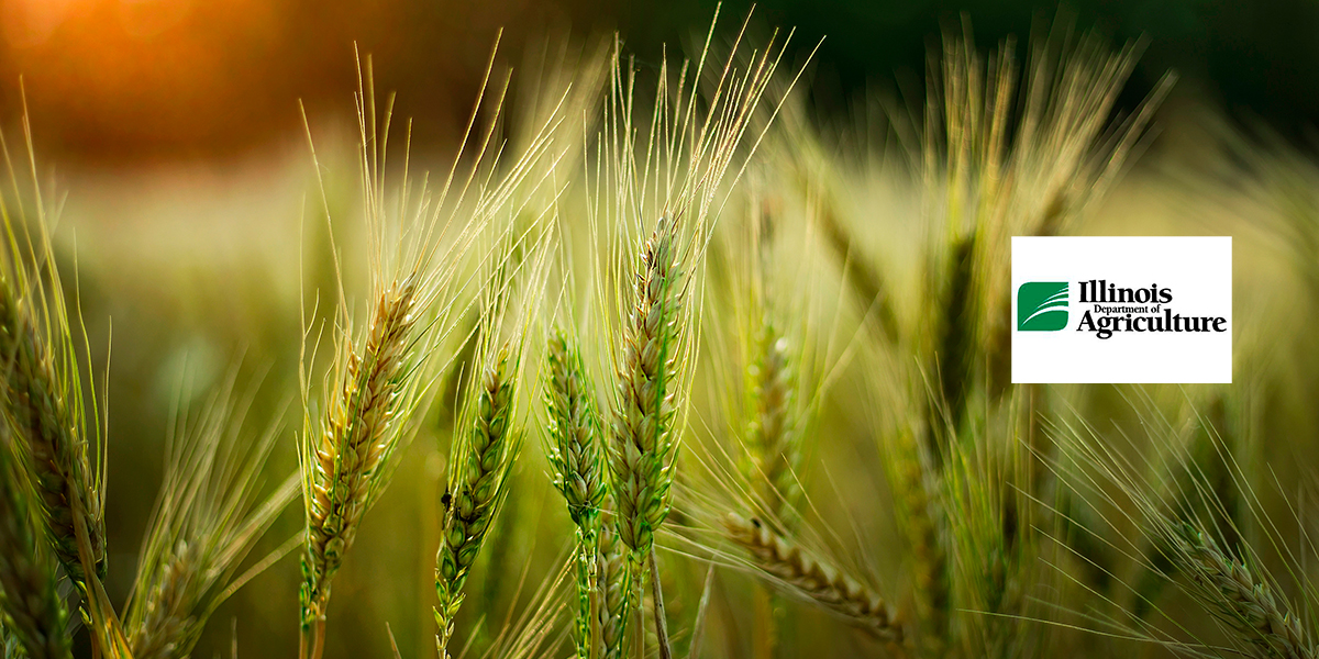 Tour virtual de la industria del grano del estado de Illinois 2020 - BM ...