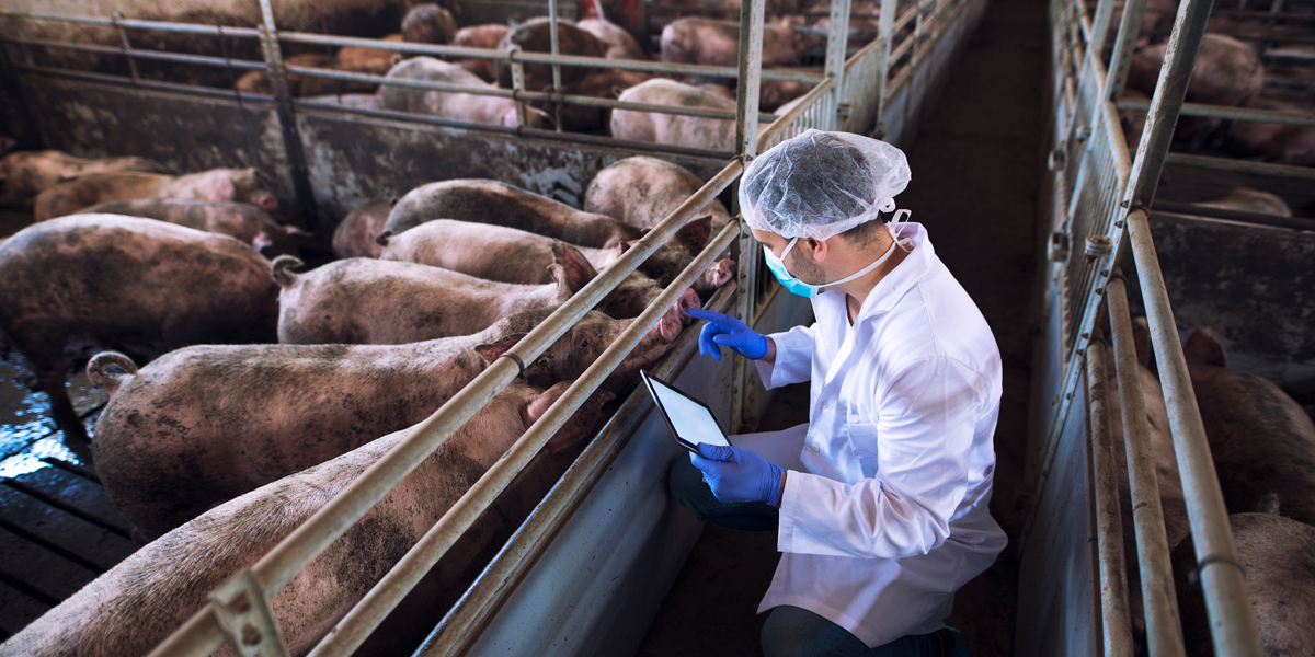 Adquiere mayor relevancia la profesión del MVZ en el mundo - BM Editores