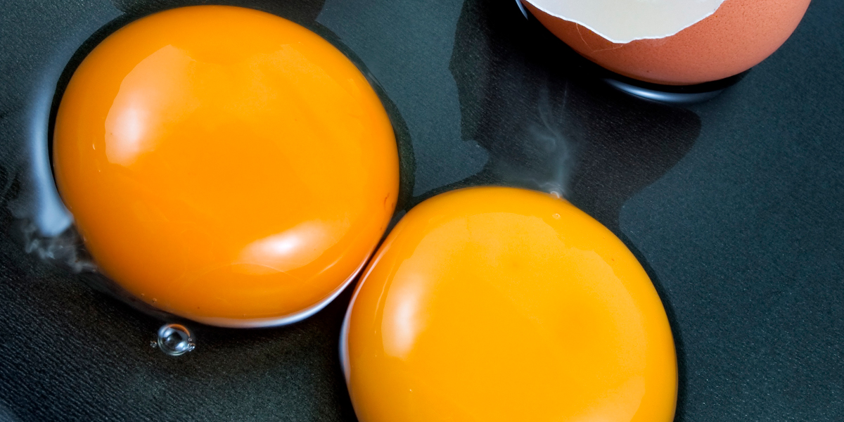 10 consejos básicos para prevenir la salmonelosis - BM Editores