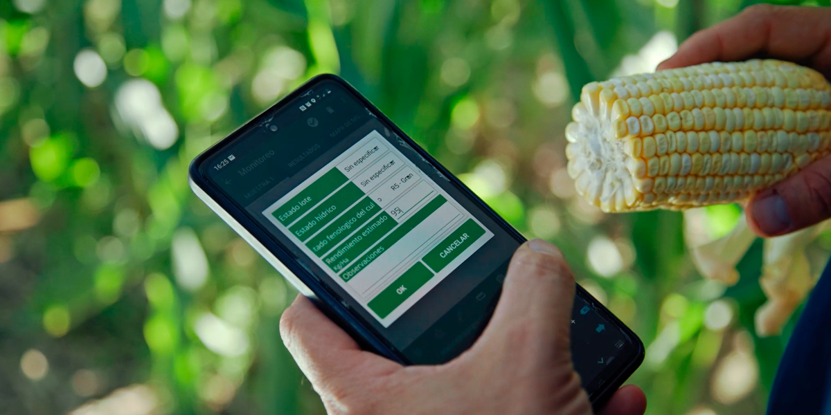 Agtech presente en México revoluciona el monitoreo de sembradíos junto a la NASA - BM Editores