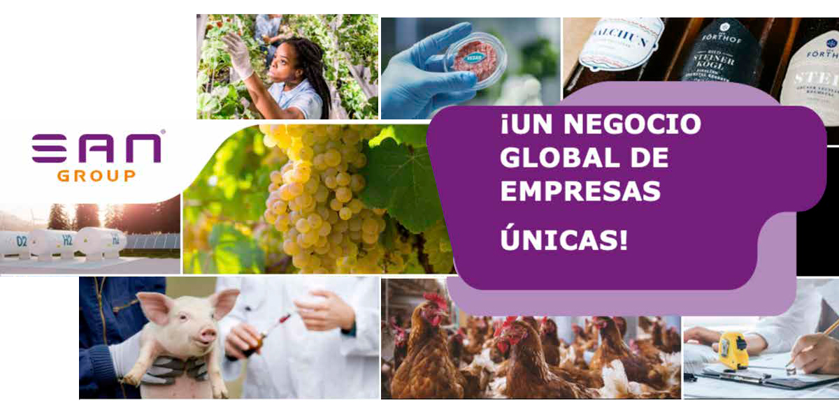 San Group - BM Editores