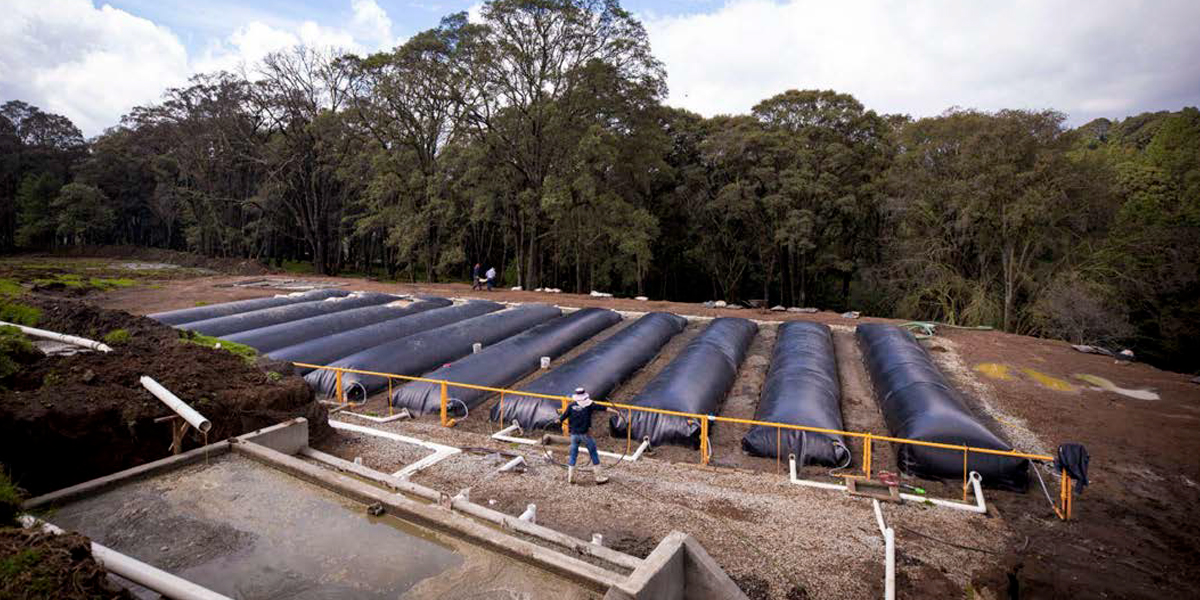 Sistema bio cumple 13 años mejorando la calidad de vida de los ...