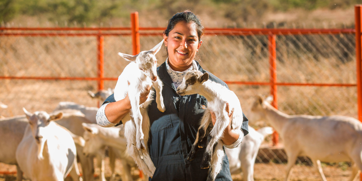 Crece más de 2% producción pecuaria - BM Editores