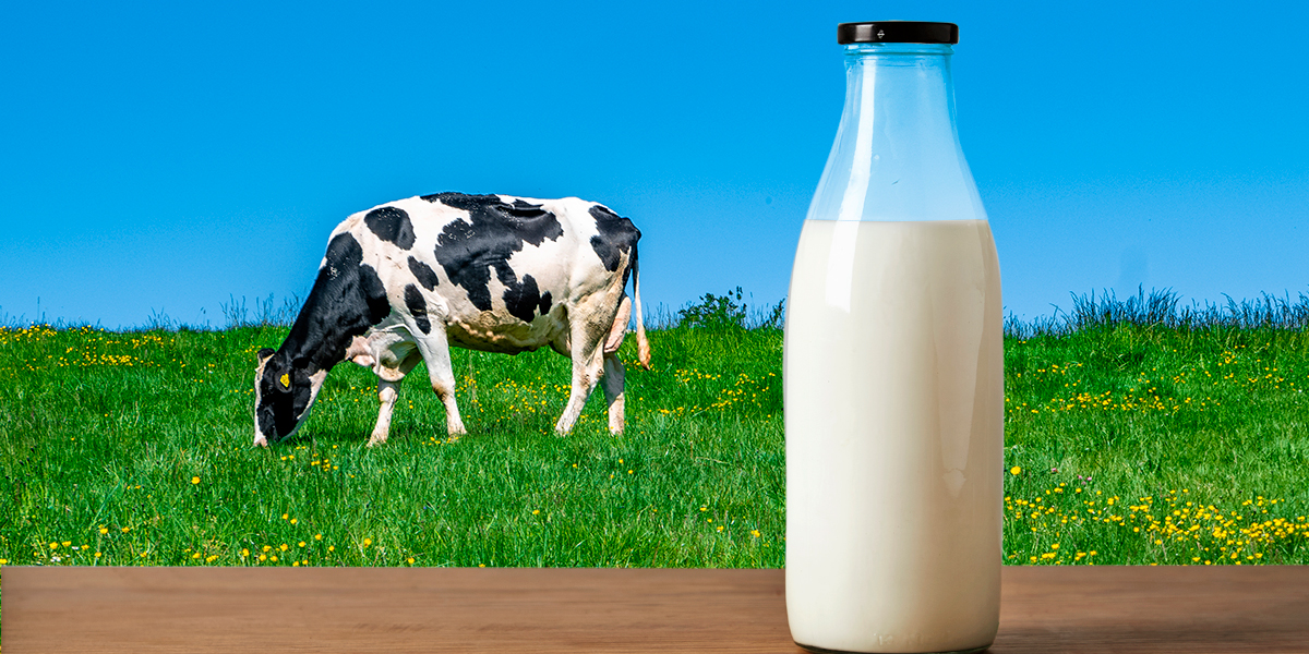 La importancia de la salud animal para obtener alimentos seguros y de ...