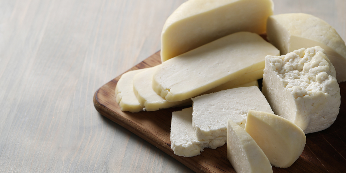 Algunos aspectos de la industria del queso en México - BM Editores