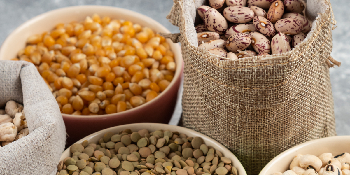 Abastecen las importaciones 56% de granos básicos - BM Editores