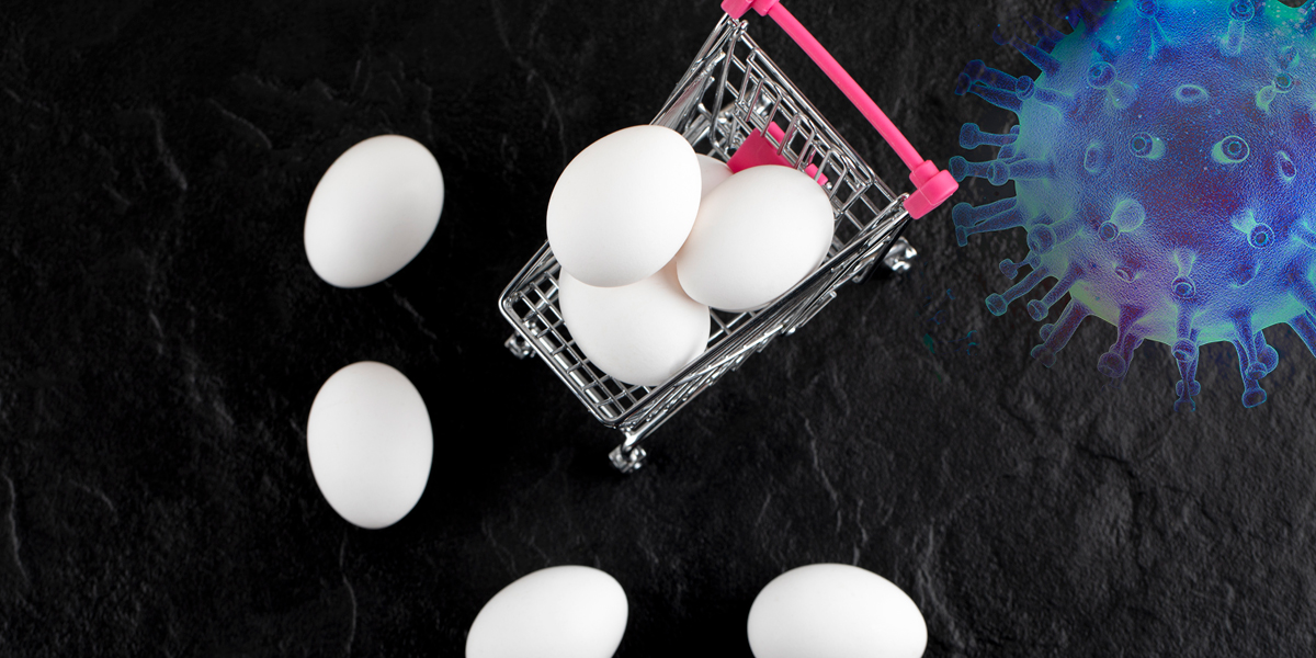 Influenza aviar altamente patógena en Estados Unidos y su impacto en el ...