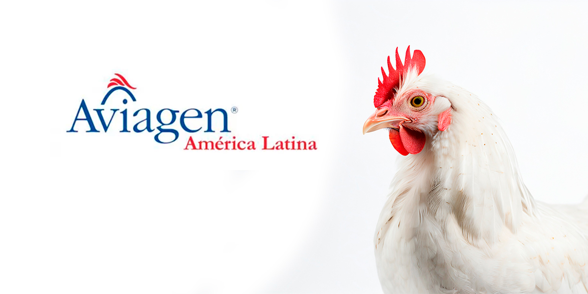 Escuela Aviagen 2023: experimentando los beneficios de “producir el éxito juntos” - BM Editores