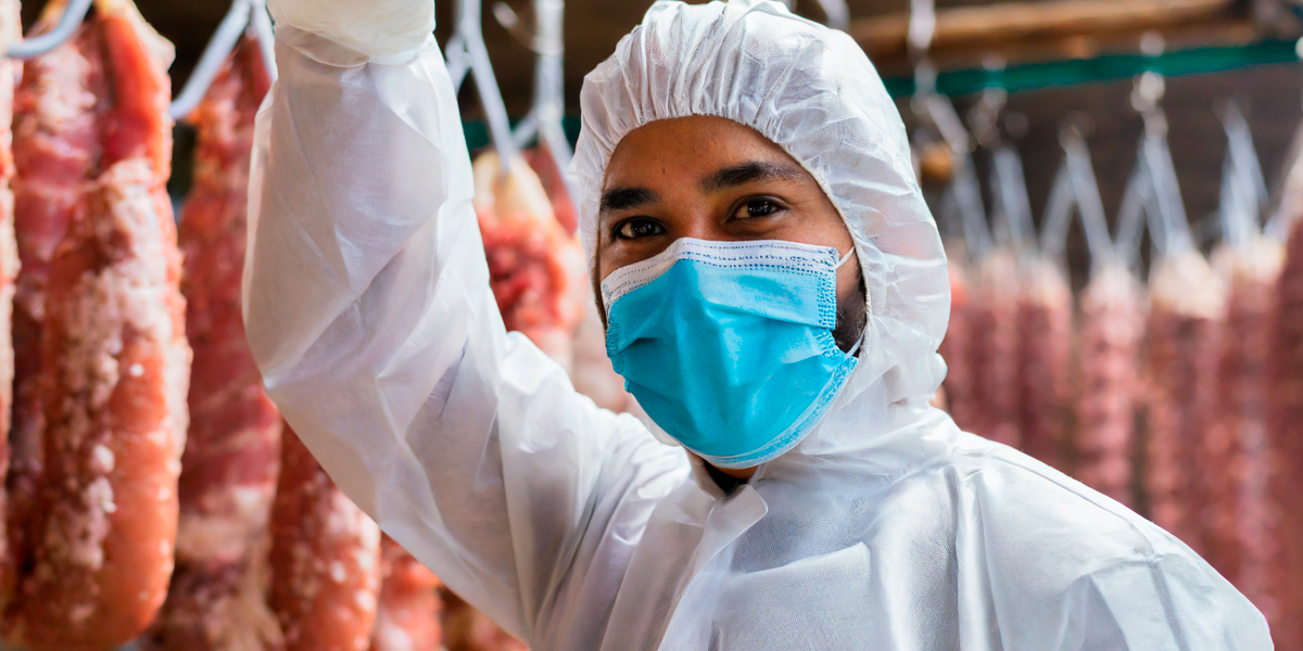 Manejo del cerdos post sacrificio - BM Editores