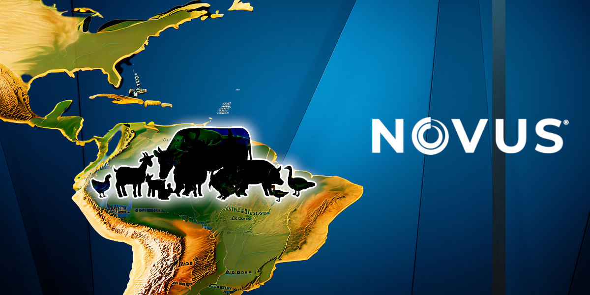 Novus: Nuevo Director Comercial para Latinoamérica - BM Editores