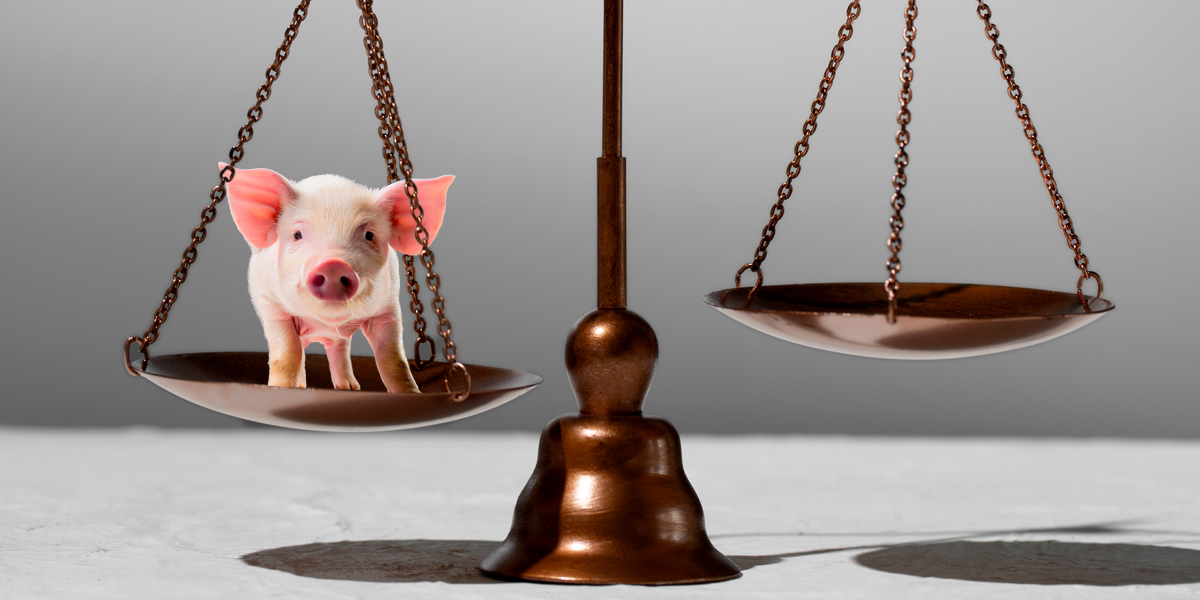 Frágil equilibrio - BM Editores