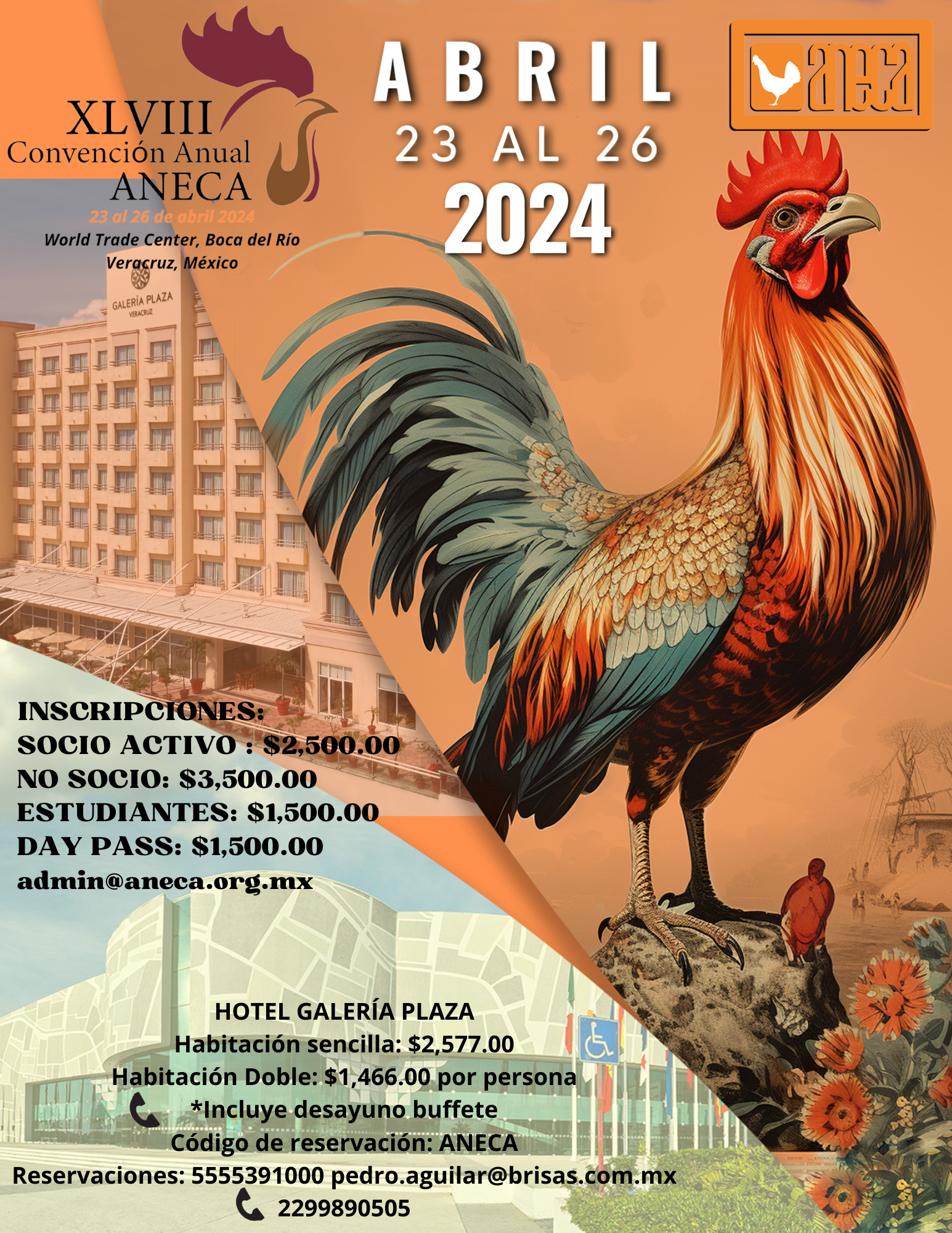 Eventos - BM Editores