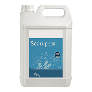 Searup - BM Editores