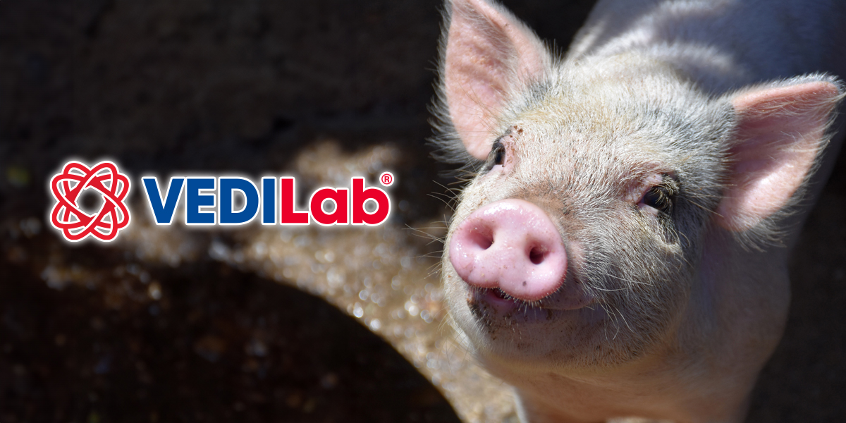 VEDILab Refuerza su estrategia comercial - BM Editores