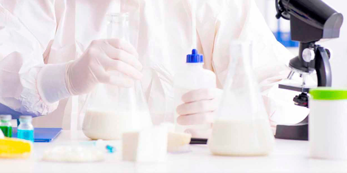 Calidad de leche: qué es y factores que la afectan - BM Editores
