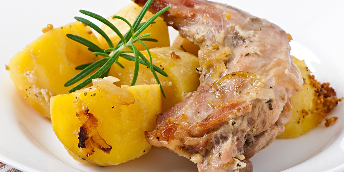 El conejo te da vida (alimentación casera de conejos para carne) - BM ...
