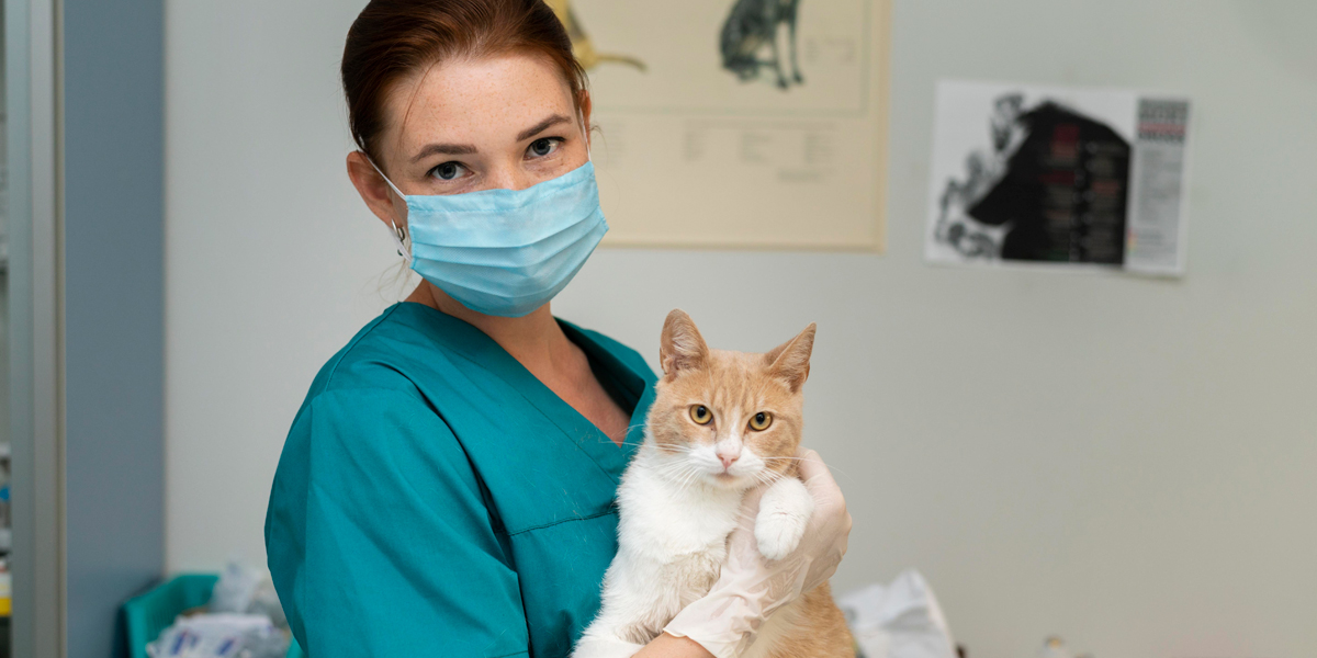 Desafíos de la medicina veterinaria y el bienestar animal - BM Editores