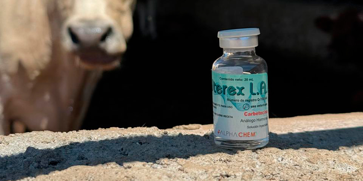 ALPHA CHEM: Sinónimo de Investigación Científica, Innovación ...