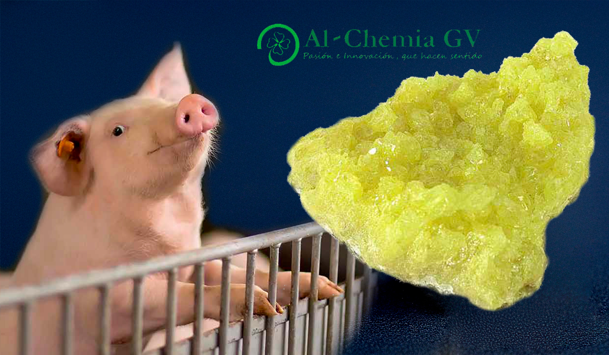 Inflamación Intestinal, Azufre y H2S - BM Editores