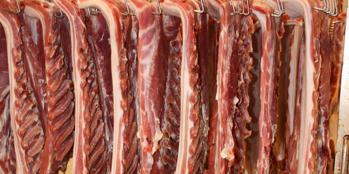 Se tienen avances en el convenio firmado por la AMEG-UNAM-CNOG - BM ...