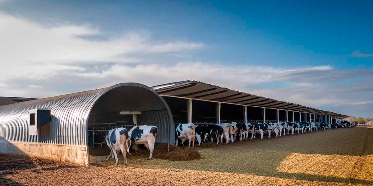 La actividad pecuaria y su impacto en el medio ambiente - BM Editores