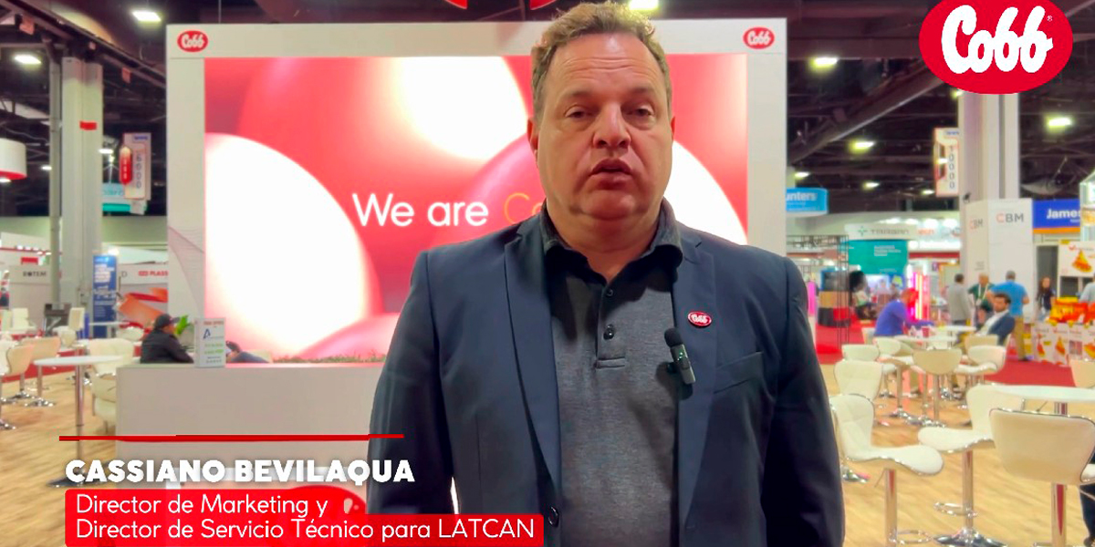 Cobb-Vantress anuncia cambios en su equipo para la región LatCan - BM ...