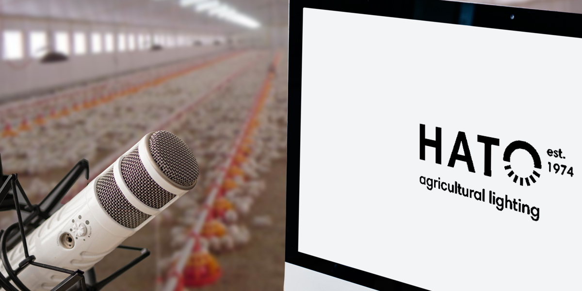 HATO Insights Webinar Series - BM Editores