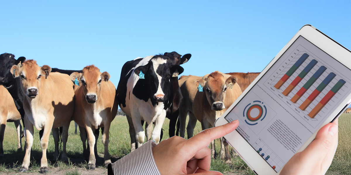 Informa CNOG a Sader planteamiento de 8 puntos para combatir GBG - BM ...