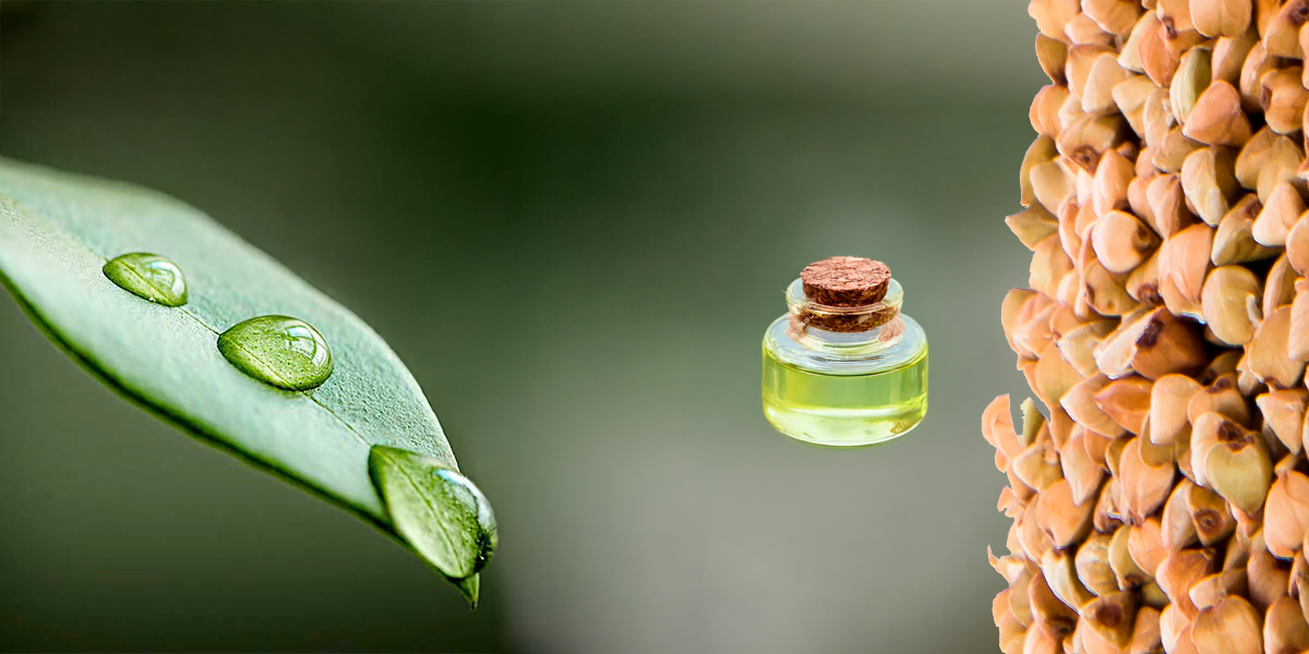 Las fitomoléculas efectivas combinan una estabilidad de procesamiento ...