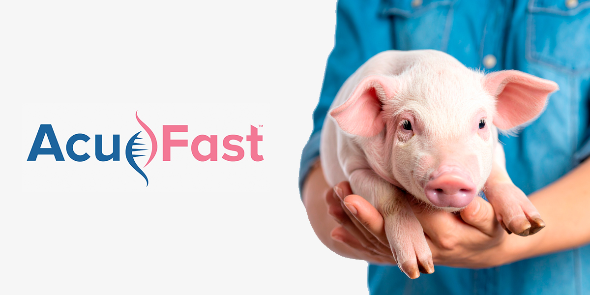 AcuFast fortalece su presencia en México con socio estratégico de ...