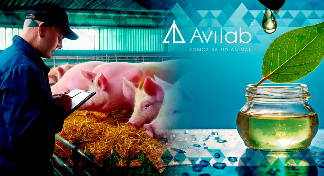 Instalación y manejo de apiarios - BM Editores