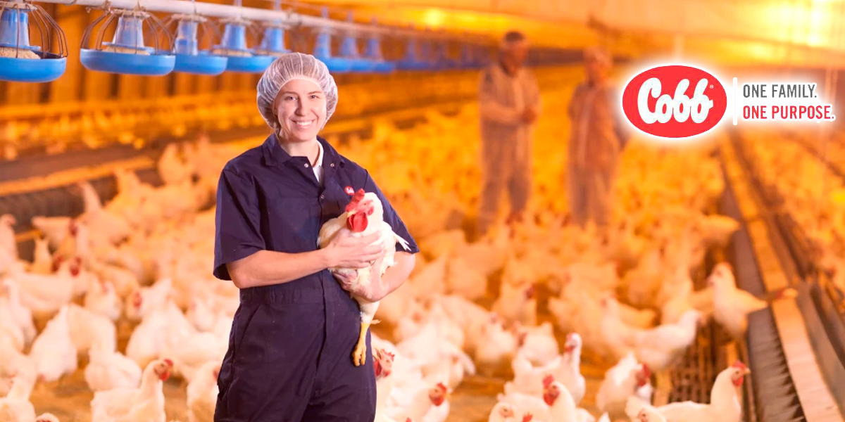 Cobb nombra al Dr. Alex Corzo como director general de Nutrición Global - BM Editores