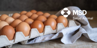 Día Mundial del Huevo 2025 Archivos - BM Editores