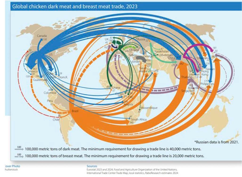 Mapa 2025 de la avicultura de carne - BM Editores