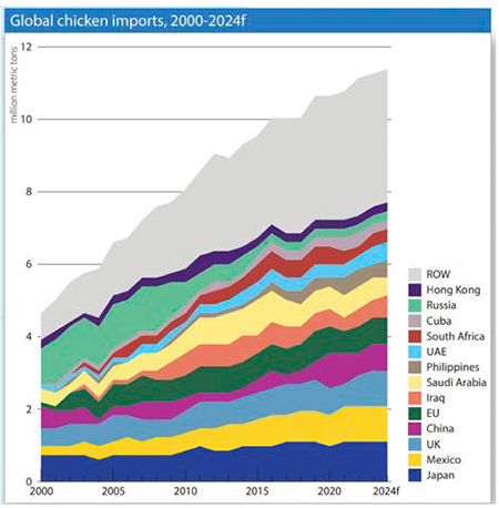 Mapa 2025 de la avicultura de carne - BM Editores
