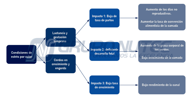 Estrategias naturales para reducir el efecto de estrés por calor en ...