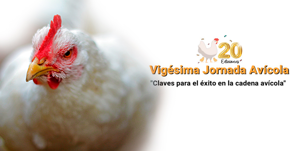 ¡20 EDICIONES, un logro de TODA LA CADENA AVÍCOLA! - BM Editores