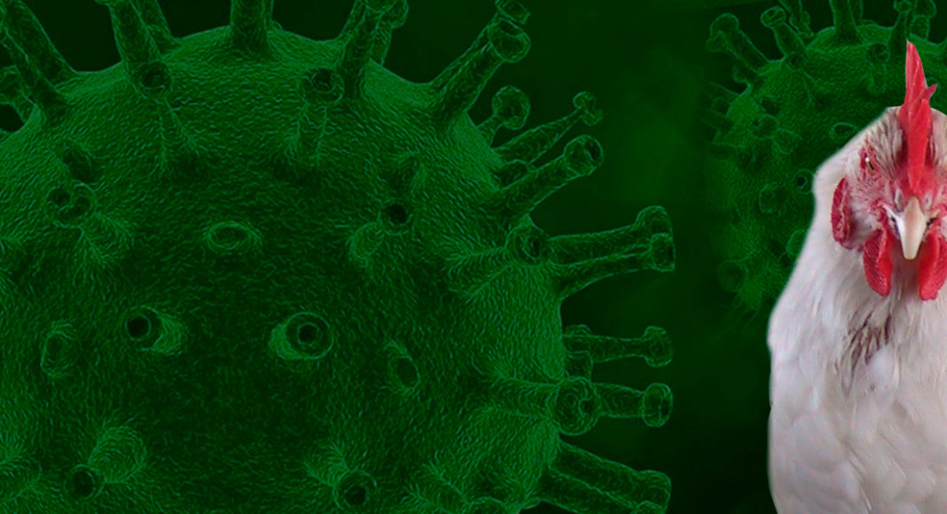 Una Lesión: poliserositis - BM Editores