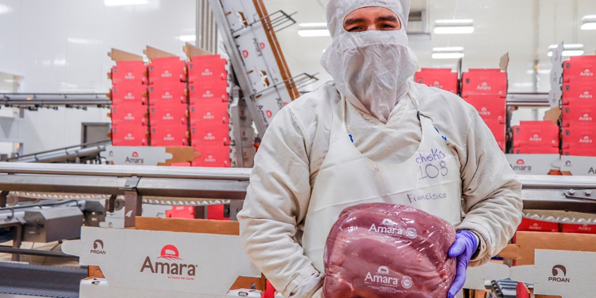 Aumentó el consumo de carne de pollo, cerdo y res durante la última ...