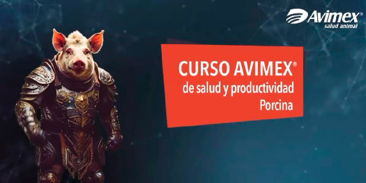 Curso Avimex de salud y productividad porcina - BM Editores
